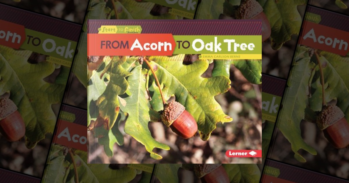 From Acorn to Oak Tree by Emma Carlson Berne, Lerner Pub Group ...