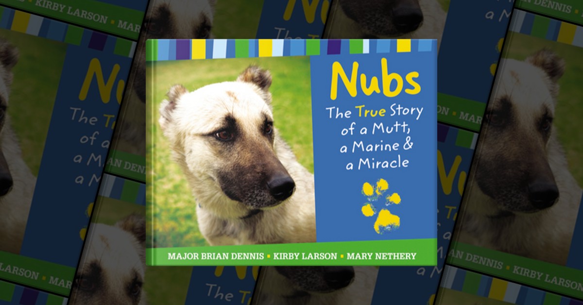 《Nubs: The True Story of a Mutt, a Marine and a Miracle》，Brian Dennis ...
